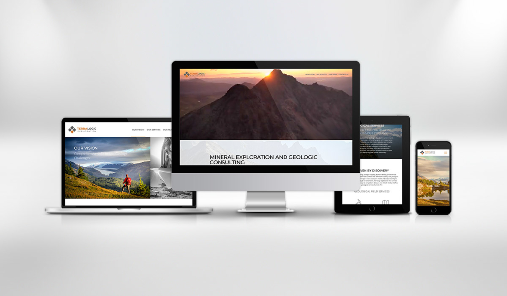 terralogic-1 - i9design